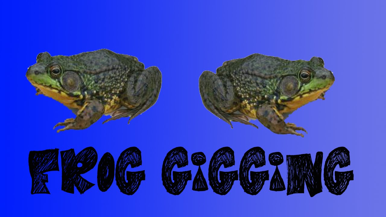 Farm Pond Frog Gigging - YouTube
