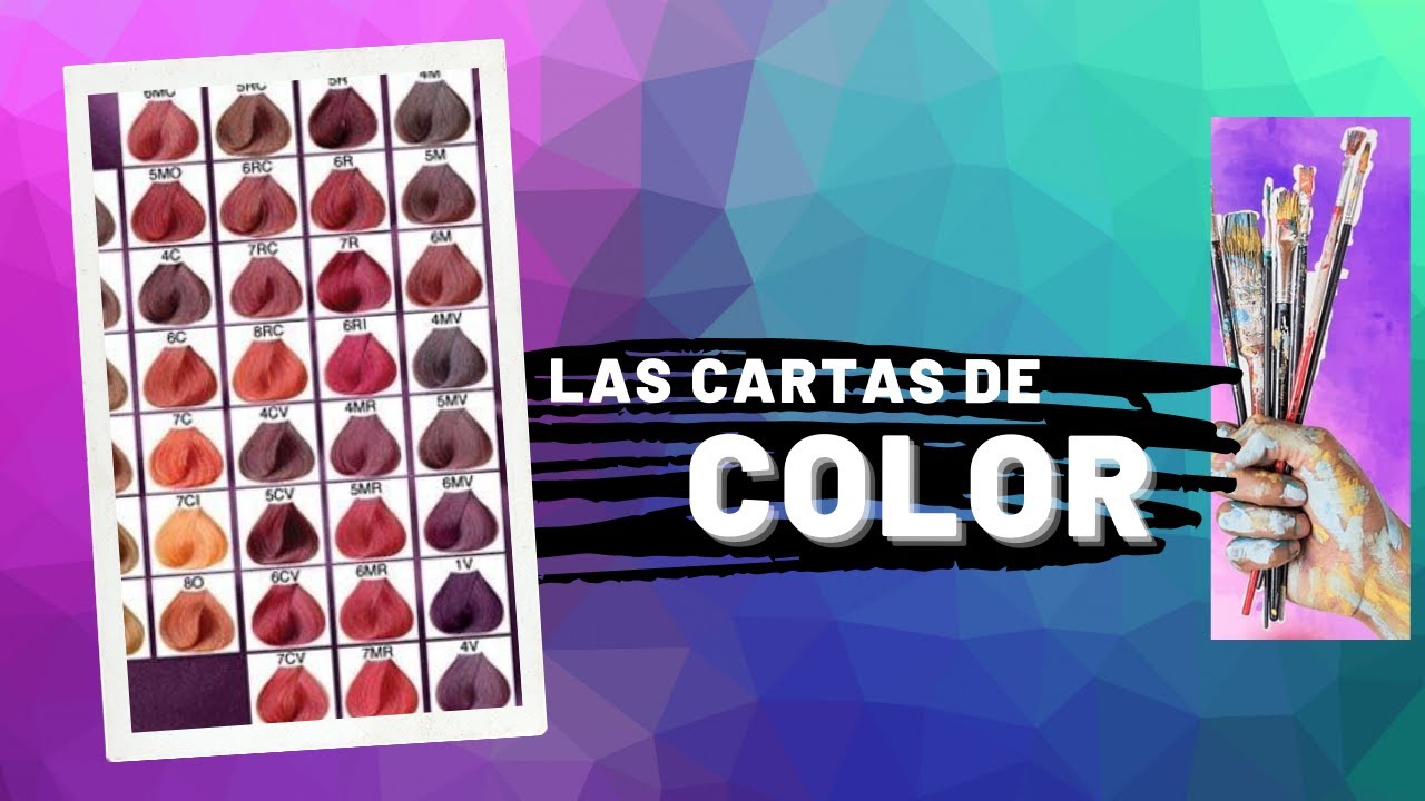 Identificacion y contenido colores de la carta - YouTube
