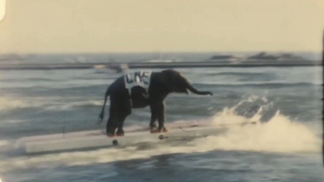 1955 - Toronto CNE - A surfing elephant, rollercoasters and crowds, air ...