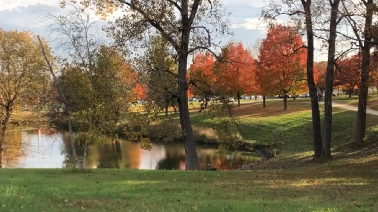 It’s Fall at SIUE campus| Illinois| USA 🇺🇸 - YouTube