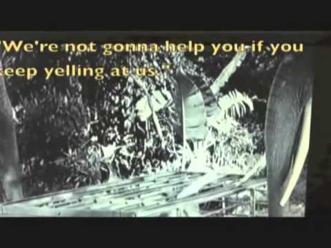 Tarzan Escapes   Large