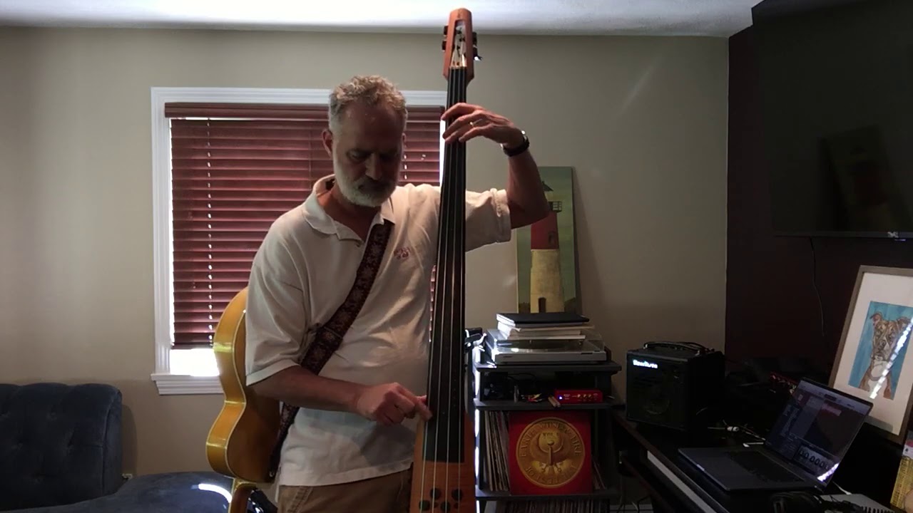 James - arch top, electric upright bass and looper, - YouTube