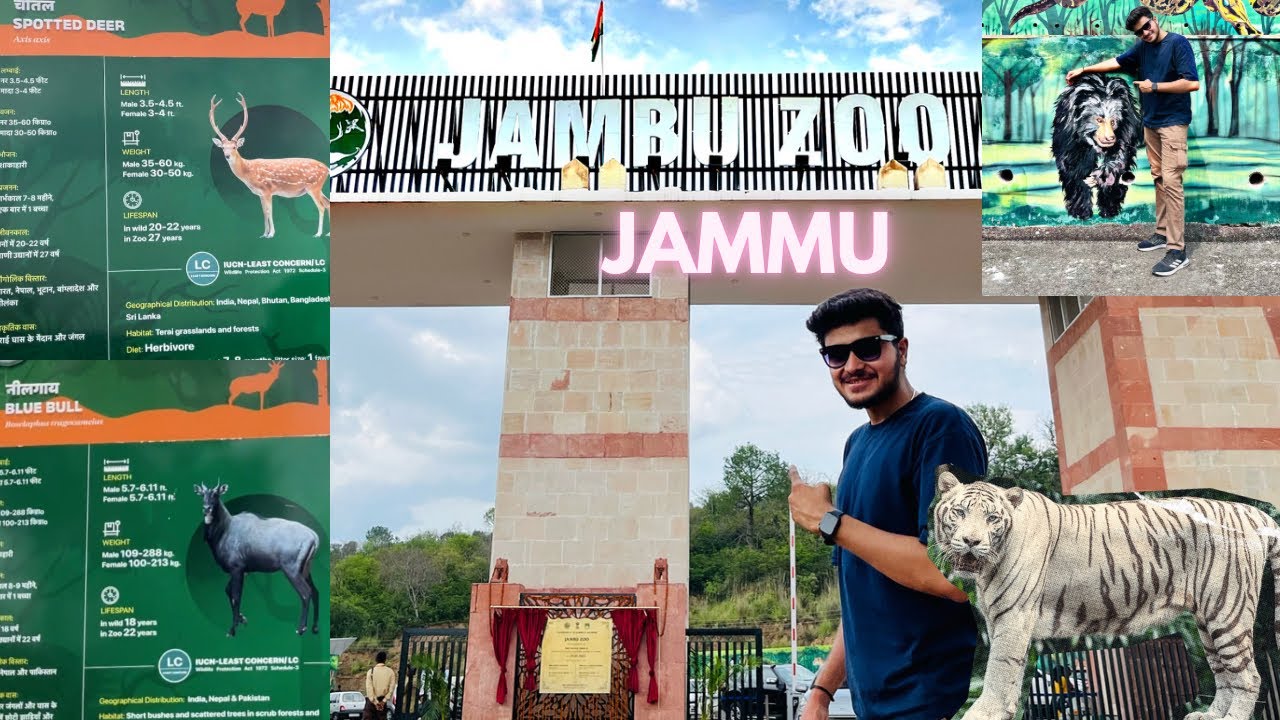 JUMBU ZOO OF JAMMU| North India's Largest Zoo🔥| SAFARI | BEAUTIFUL ...
