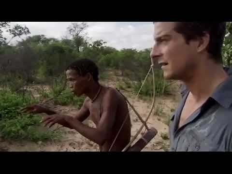 Bear trifft in Namibia auf das Volk der "San" - YouTube