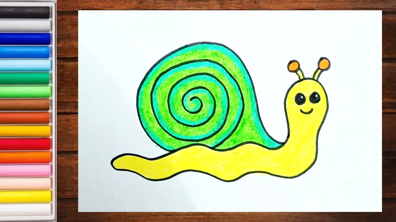 Simple and step by step drawing of Snail || How to draw a Snail - YouTube