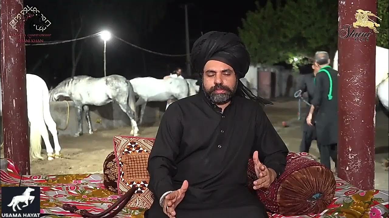Syed Ali Raza Bukhari interview on horses and docunmentry - YouTube