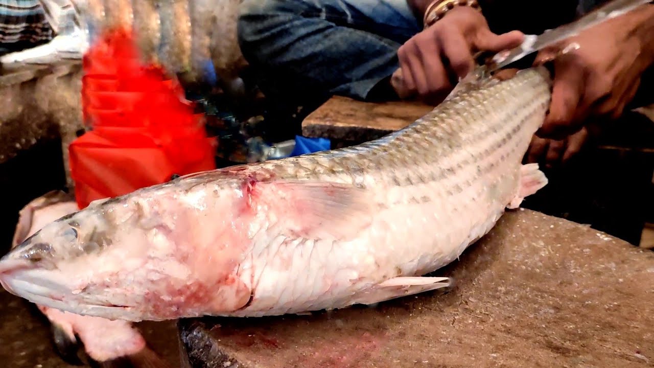 Most Popular Big Batta Fish Cutting Skills In Bangladesh Fish Market ...