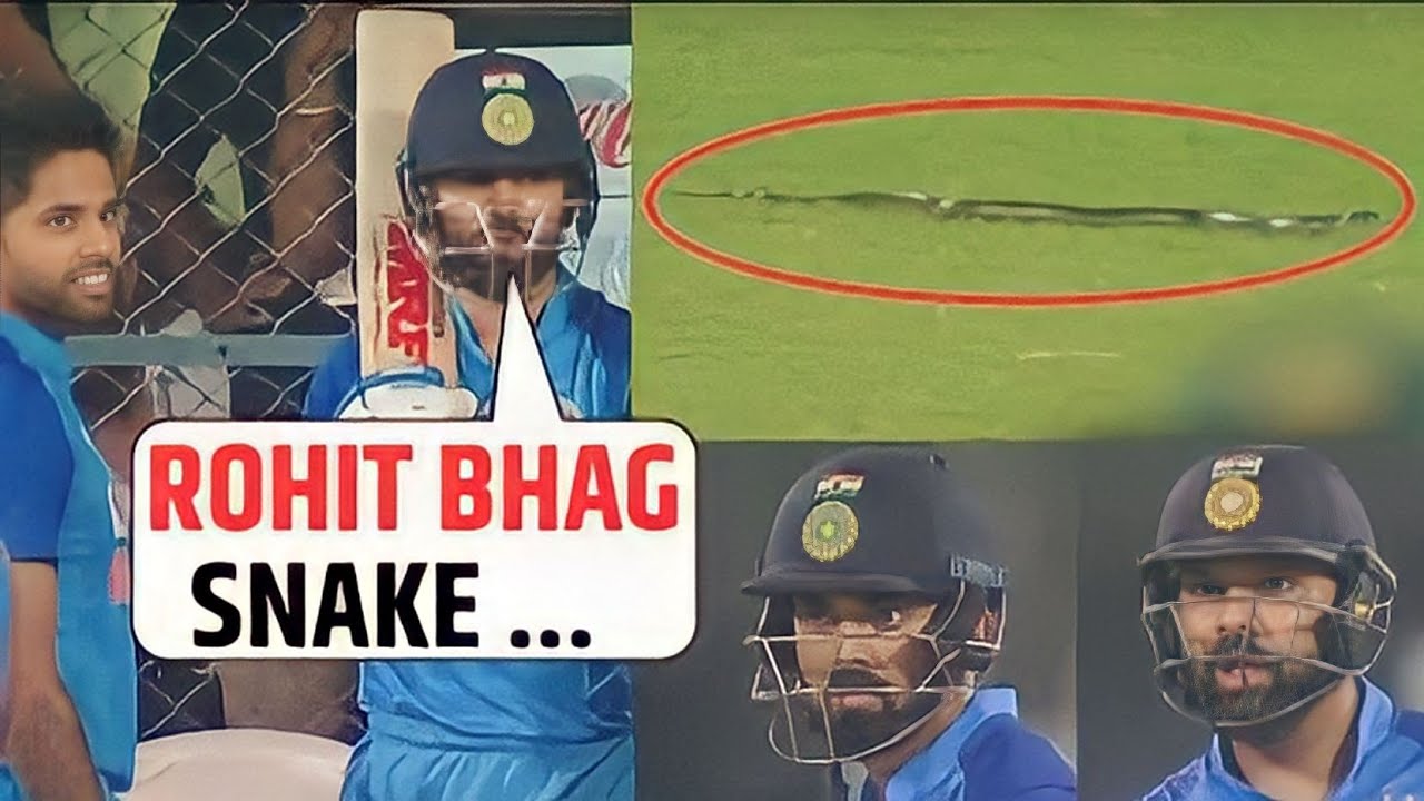 Virat Kohli and Rohit Sharma crazy reaction when they see the snake ...