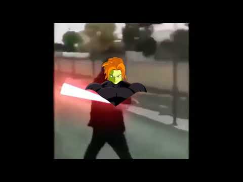 Perfection vs Bulma bunny's fans