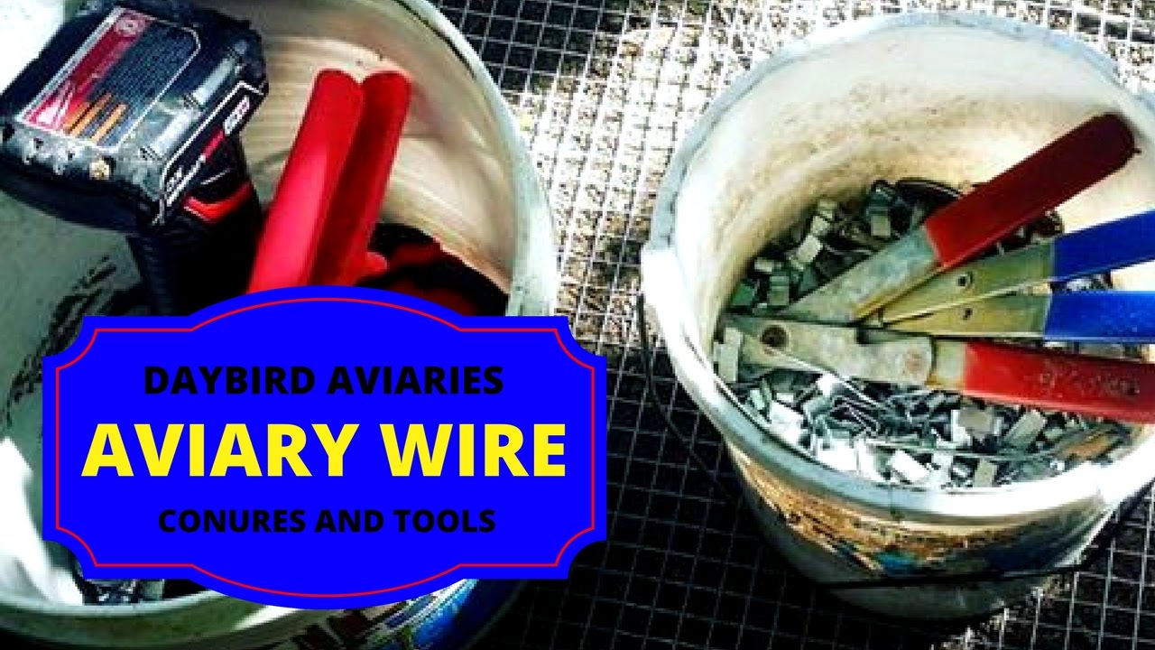 HOW TO INSTALL WIRE ON THE BIG AVIARY - Wrapping the conure aviary ...