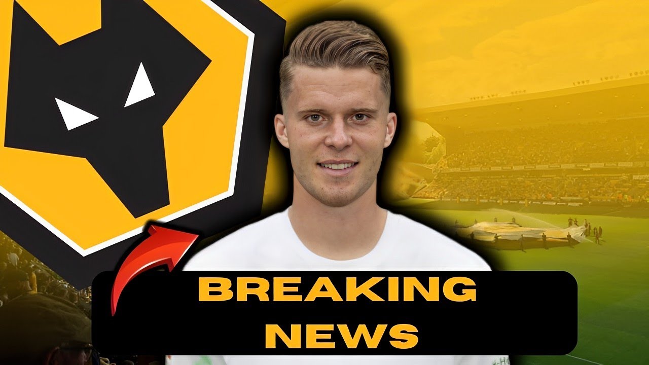 🟡🔘NEW REINFORCEMENT COMING? SEE THE LATEST NEWS FROM THE WOLVES ...