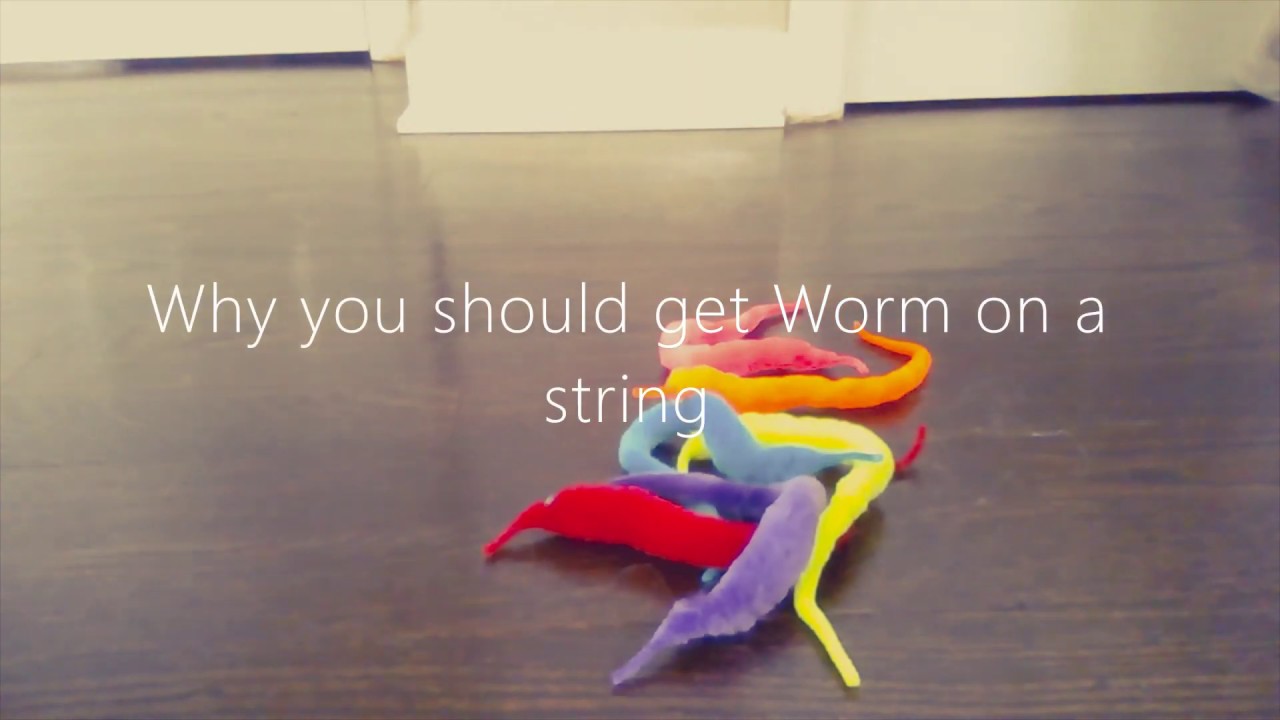 Why you should get worm on a string - YouTube