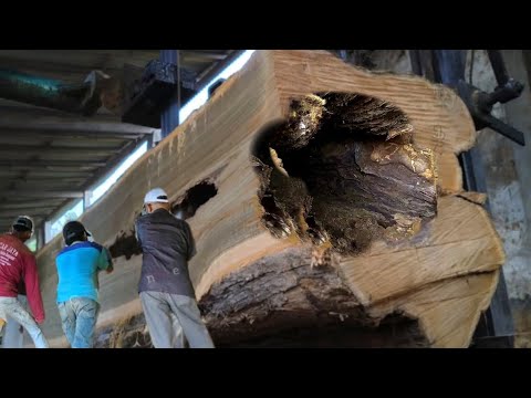 Woodworking Surprise!! Giant Animal Found Inside Rotten Teak Wood a Sawmill
