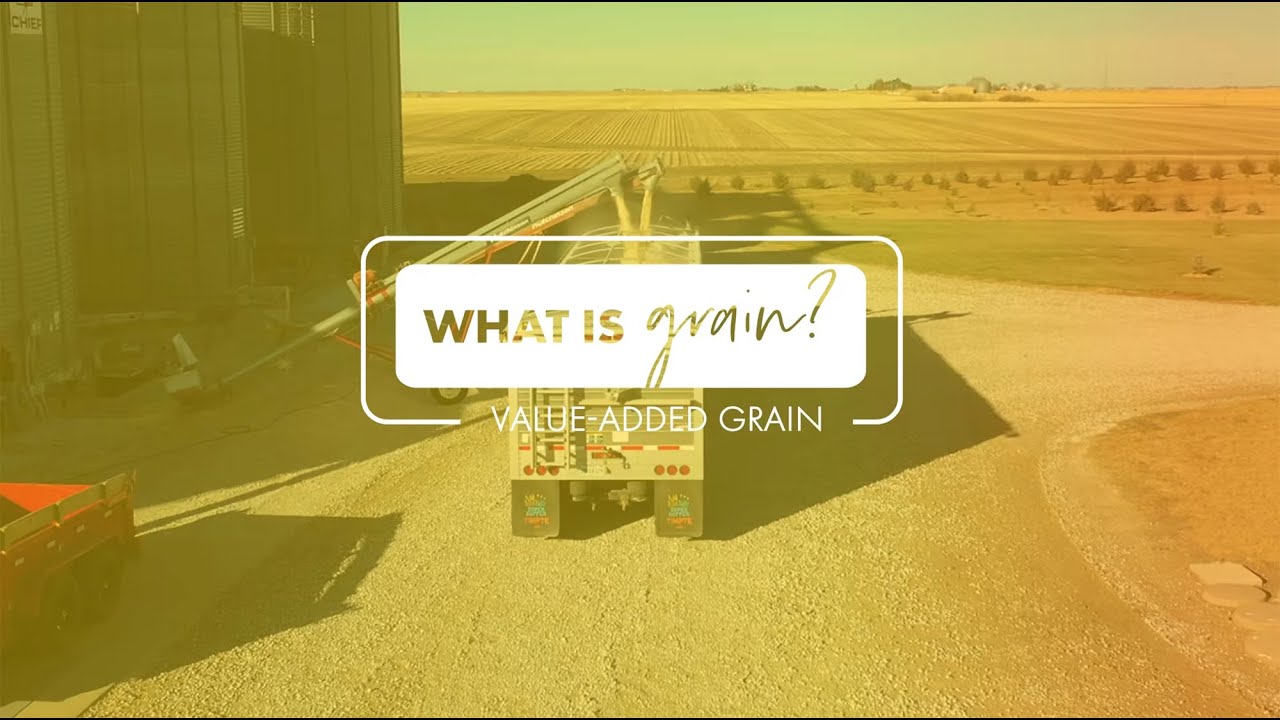 What is Grain? Value-Added Grain - YouTube
