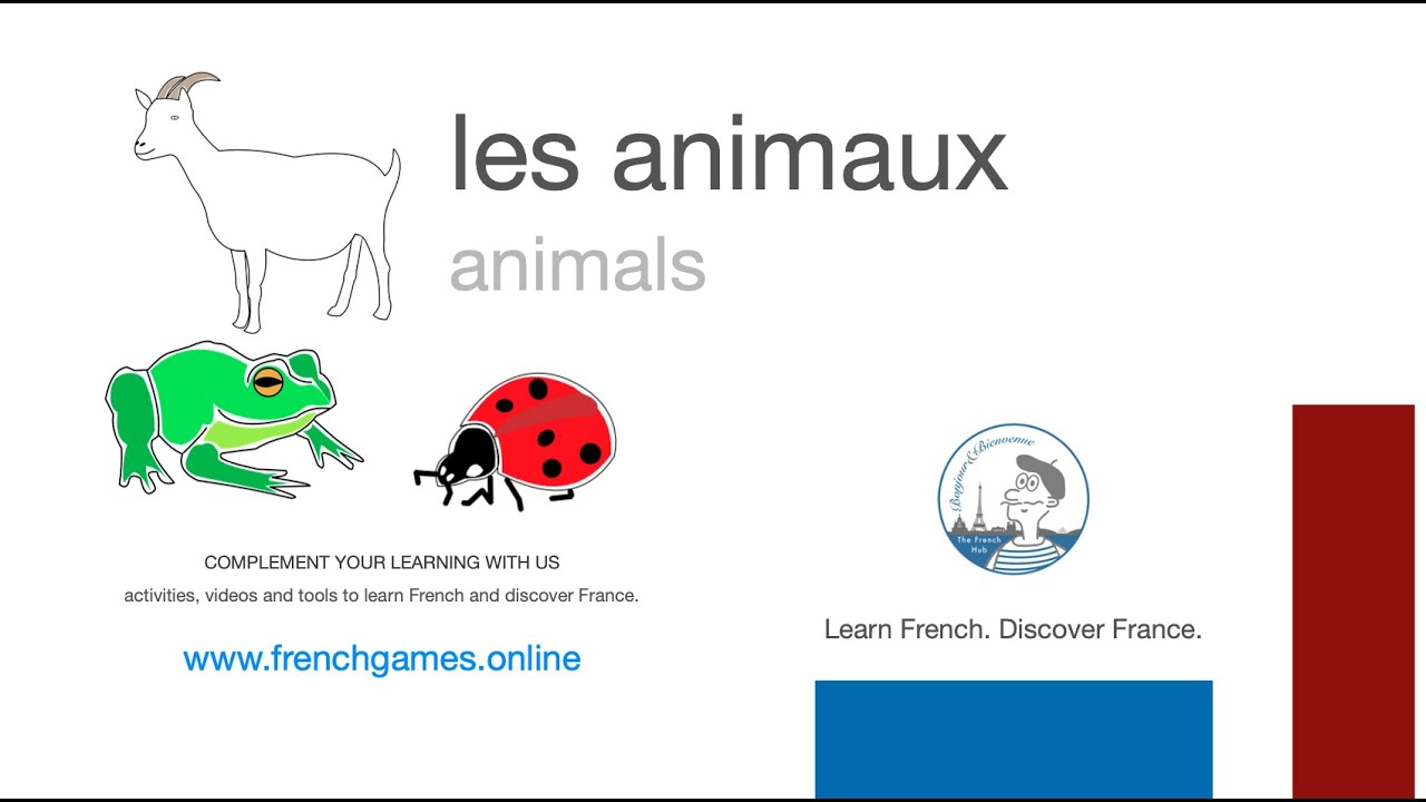 Les Animaux - Supplemental vocabulary - YouTube