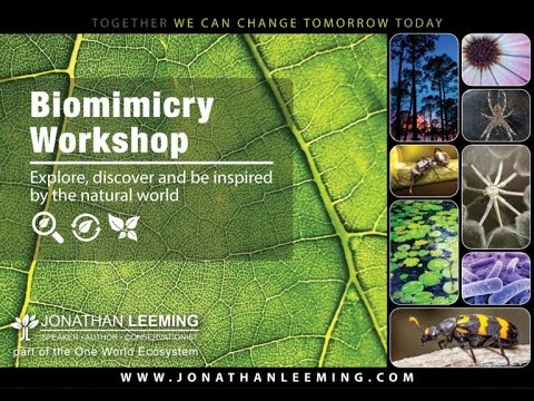 Frok Biomimicry Workshop by Jonathan Leeming - YouTube