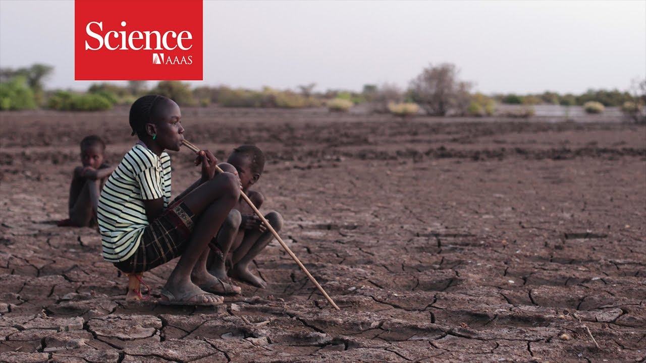 How early warnings of drought help prevent catastrophic famines - YouTube