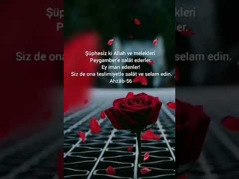 İSLAM GÜNEŞİ