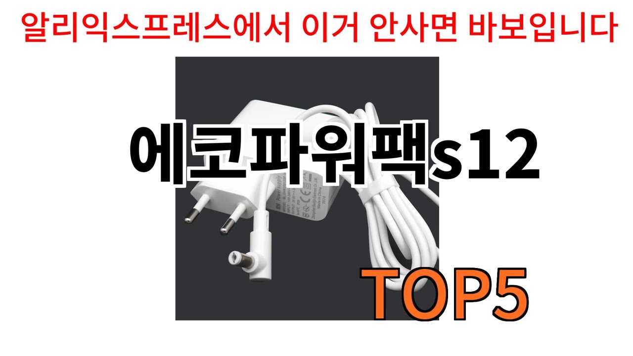 [에코파워팩s12 추천]ㅣ알리에서 이 에코파워팩s12 이거만 사면됩니다 TOP5 - YouTube