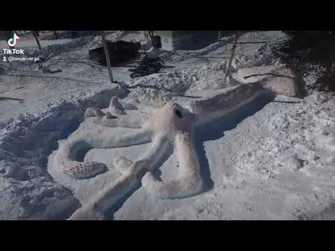Giant squid of summerford, newfoundland - YouTube