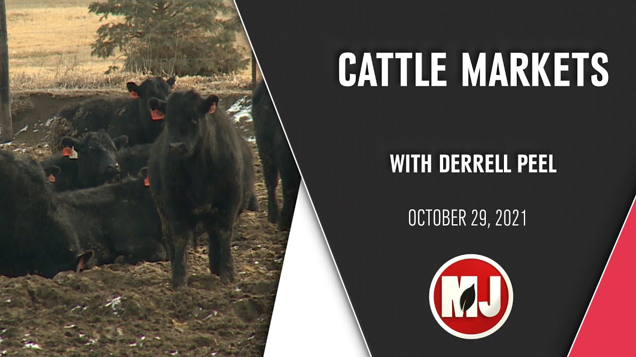 In the Markets | Derrell Peel | October 29, 2021 - YouTube