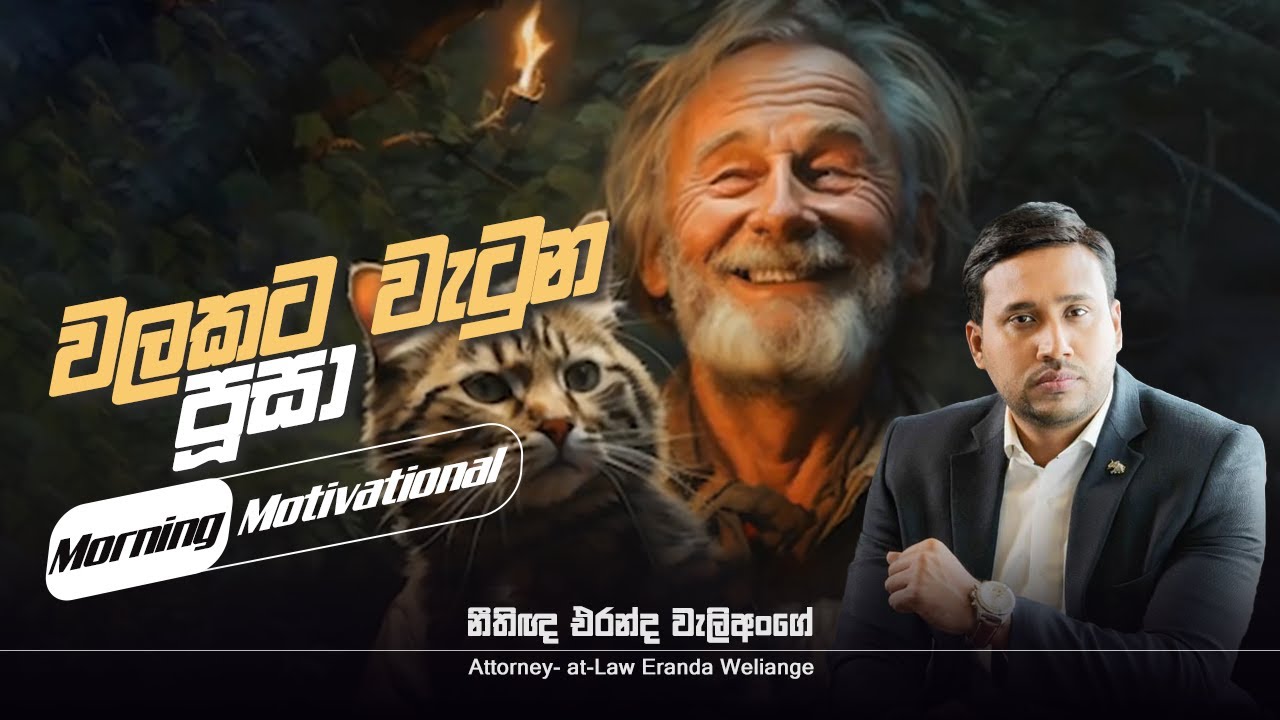 වලකට වැටුන පූසා L Morning Motivational L Eranda Weliange Youtube