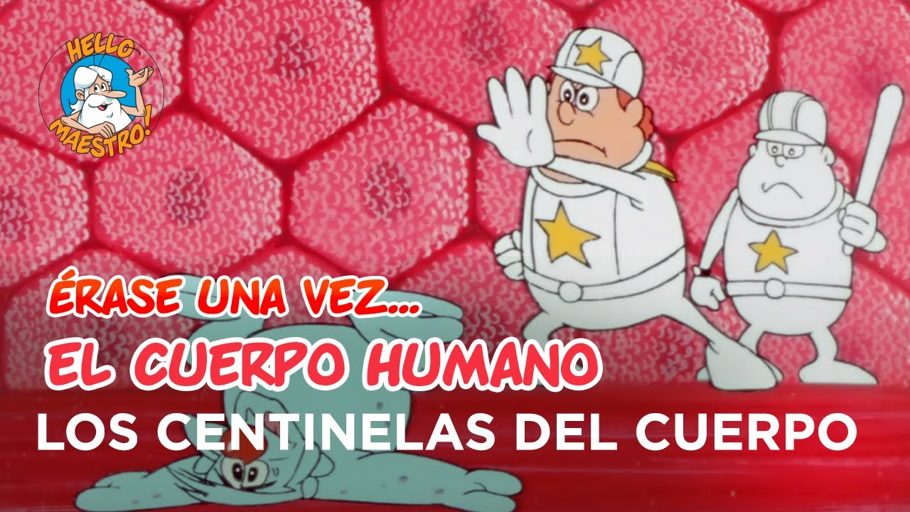 Erase Una Vez... El Cuerpo Humano - Los centinelas del cuerpo - YouTube