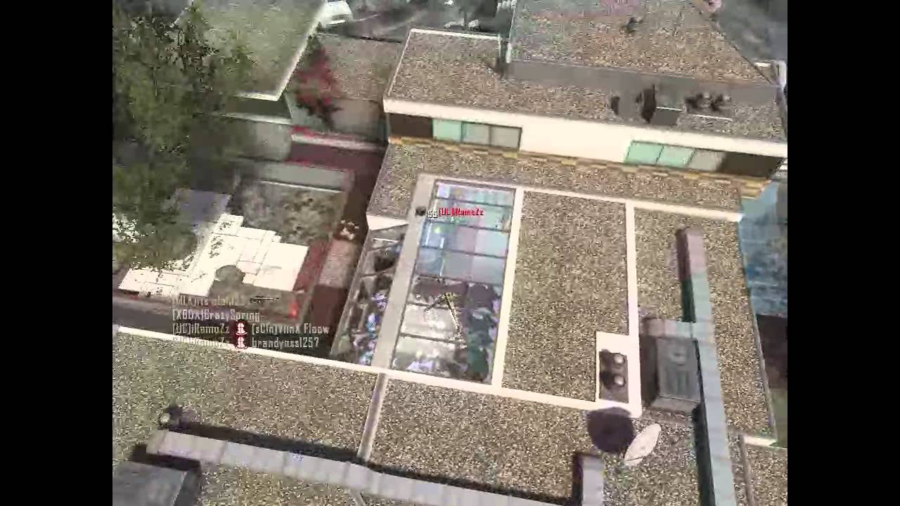 vL Flyz - Black Ops II Game Clip - YouTube