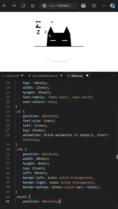 Css Sleepy Cat#coding#webdevelopment #frontend #programming #css #html #javascript - YouTube