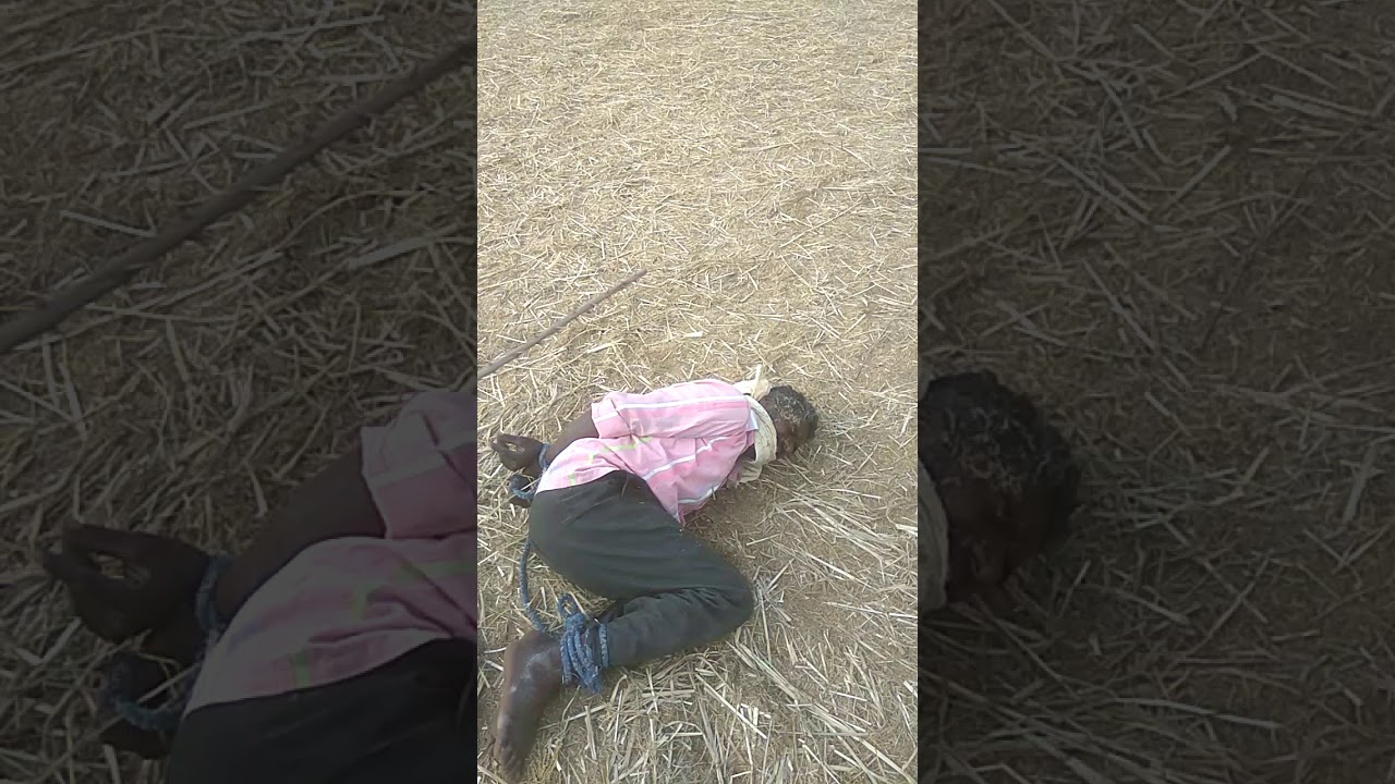 Modern Thief Punishment In Our Village Youtube