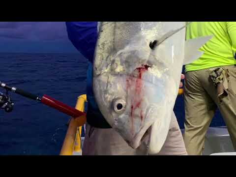 Ryoko~The Jailbird’s Generation Hurricane Pe3-5 casting rod - YouTube