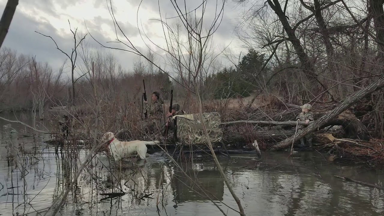 Duck hunting clip with that jet fighter sound they can make coming in ...
