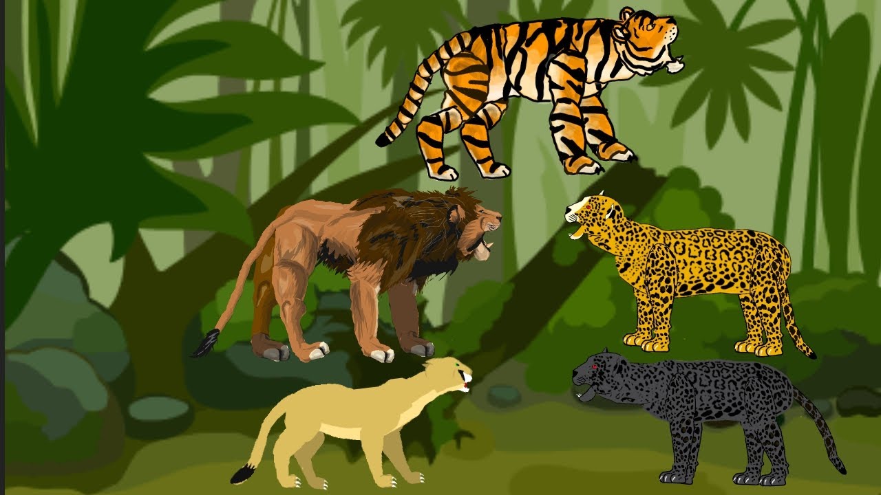 DC2: Big cats animation. - YouTube