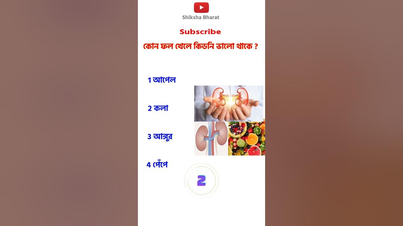 Life Style Health Care Quiz Questions life-style-health-care-quiz-questions