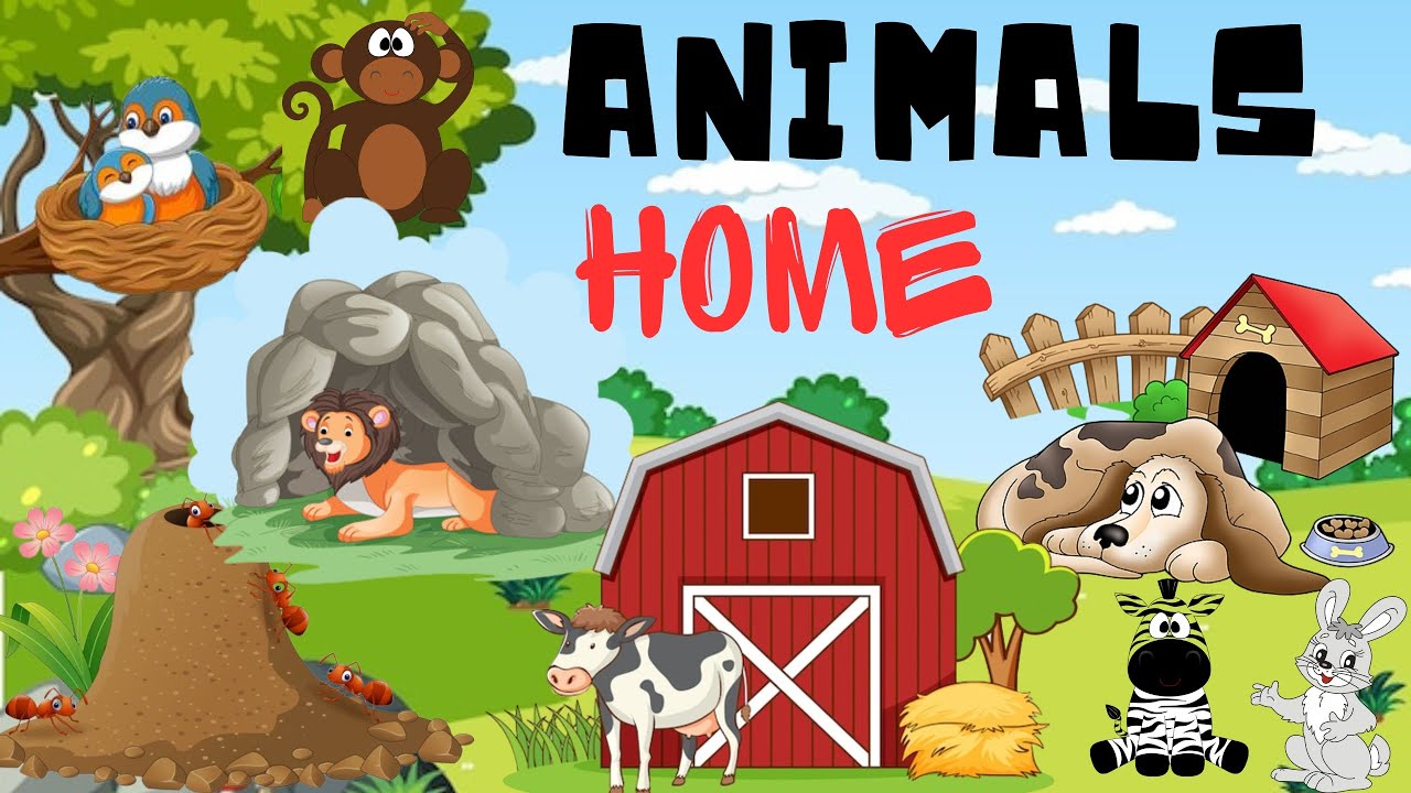 Animals Home | Animals And Their Homes |Animals Shelter Name | Home Of ...