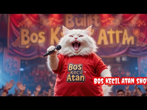 Cute cat "Bos kecil Atan" song #catfunny #catlover #cats - YouTube