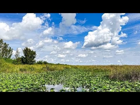 Dios bendiga a los hermanos brasileños. - YouTube