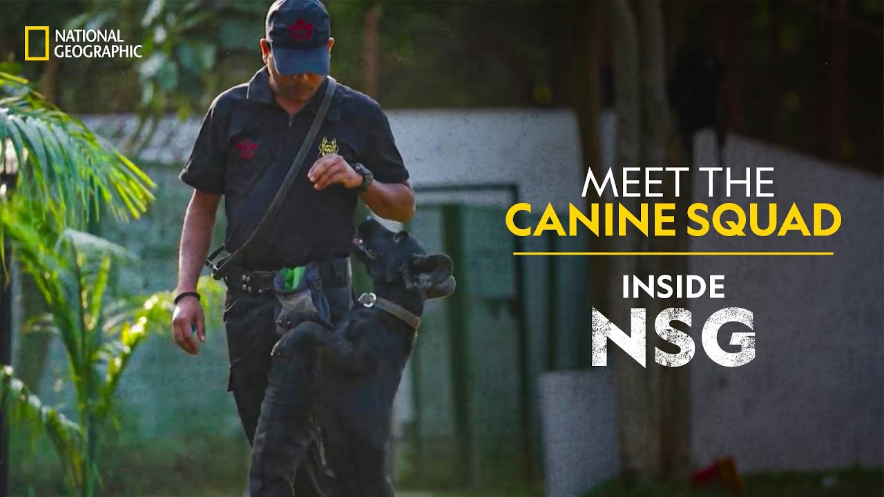 Meet the Canine Squad | Inside NSG | National Geographic - YouTube