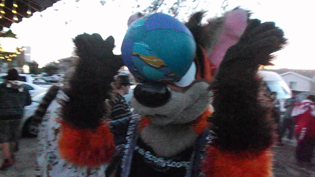 Scruffy breaks record - YouTube