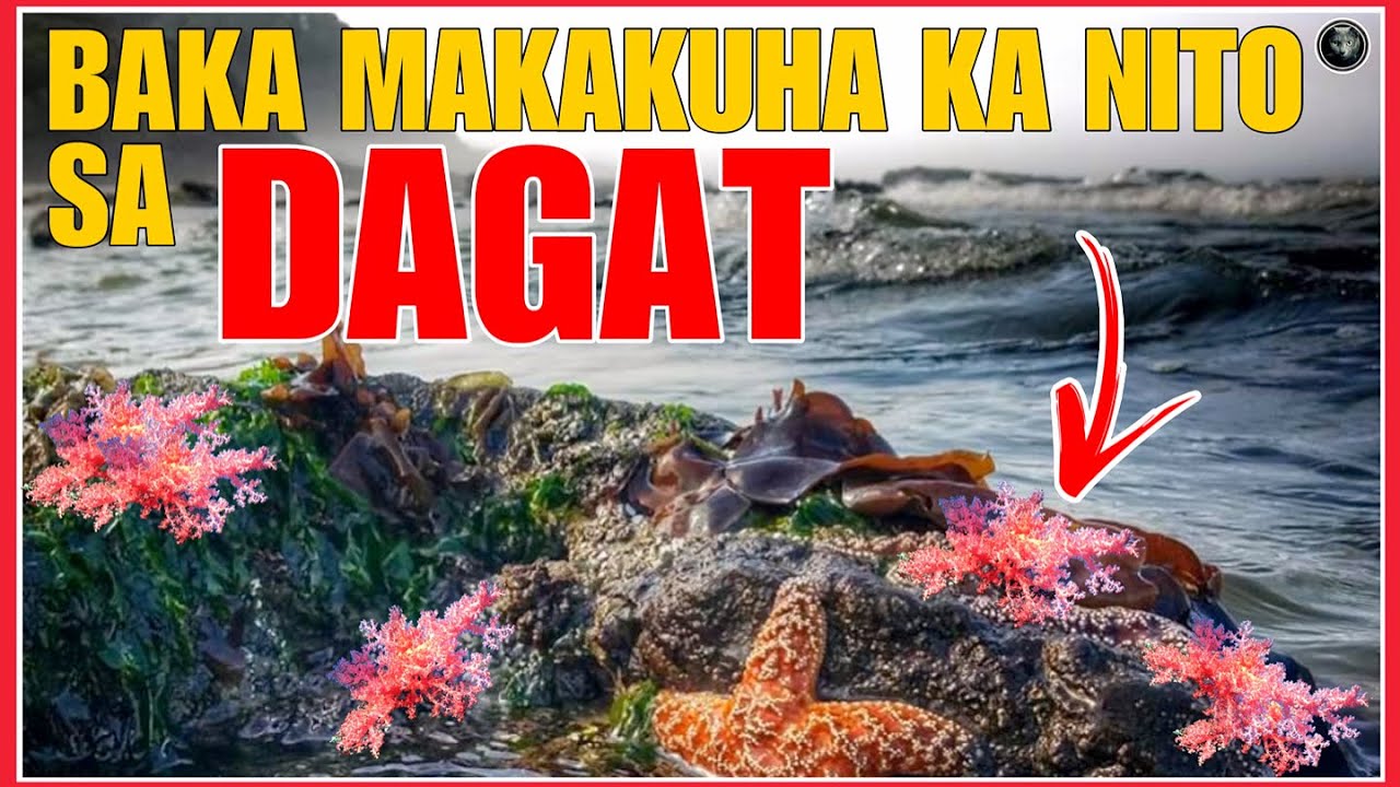 BHES TV; BAKA MAKAKUHA KA NITO SA TABING DAGAT ISANG MALAKAS NA AGIMAT ...