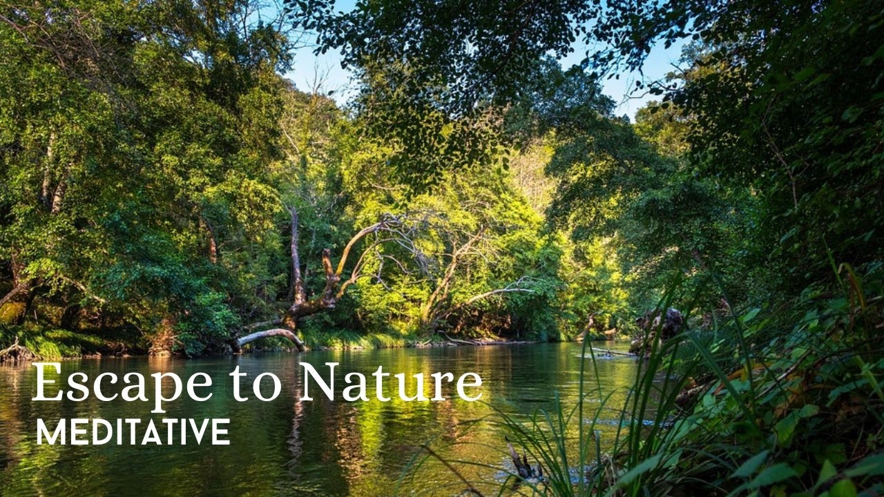 Escape to Nature: A Journey Through Beautiful River Landscapes with ...