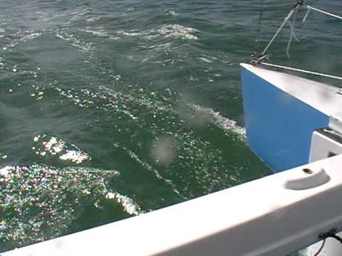 Proa Sailing fast - YouTube