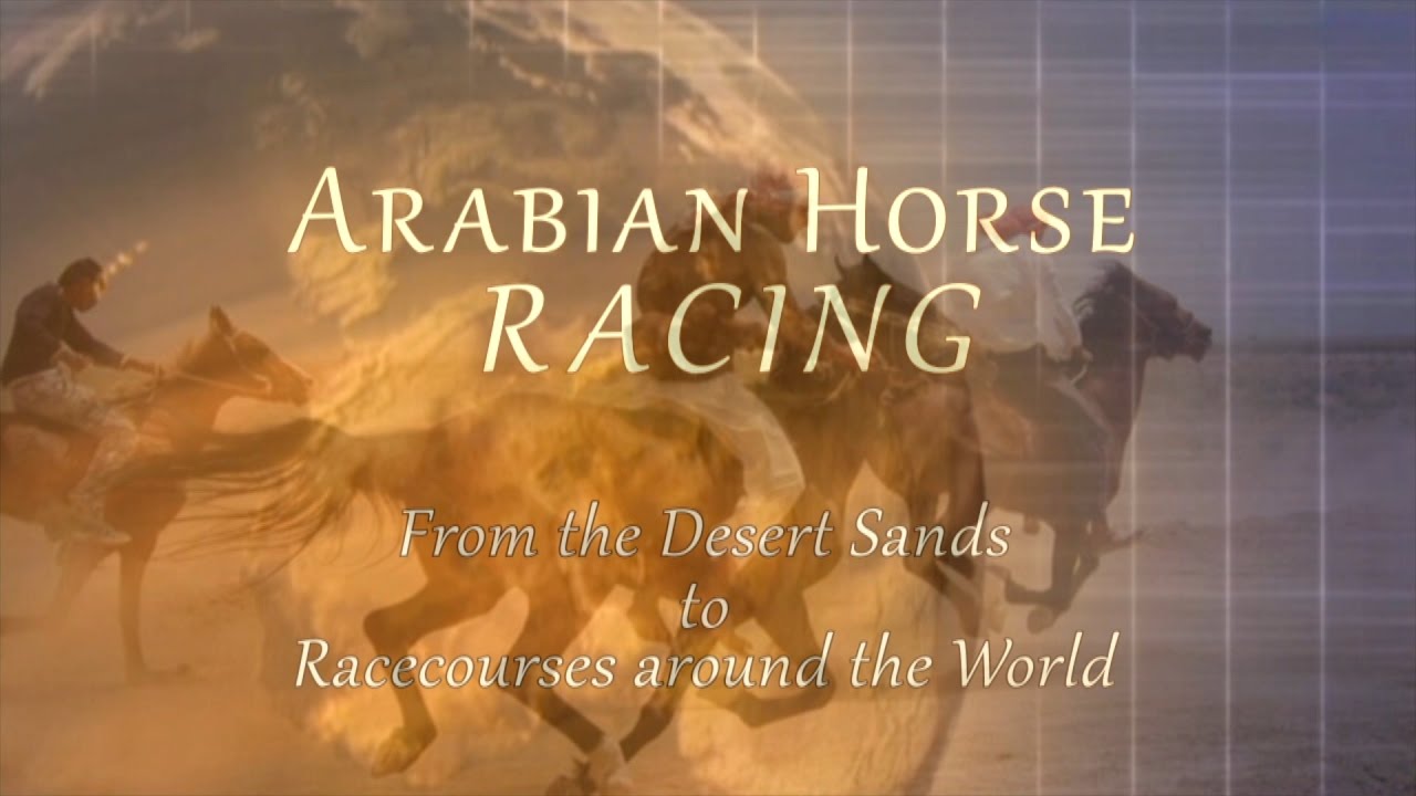 Arabian Horse Racing Documentary ~ From Desert Sands to Racecourses ...