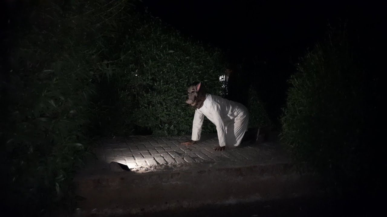 LIKE A GHOST DOG - Short Horror Film - YouTube