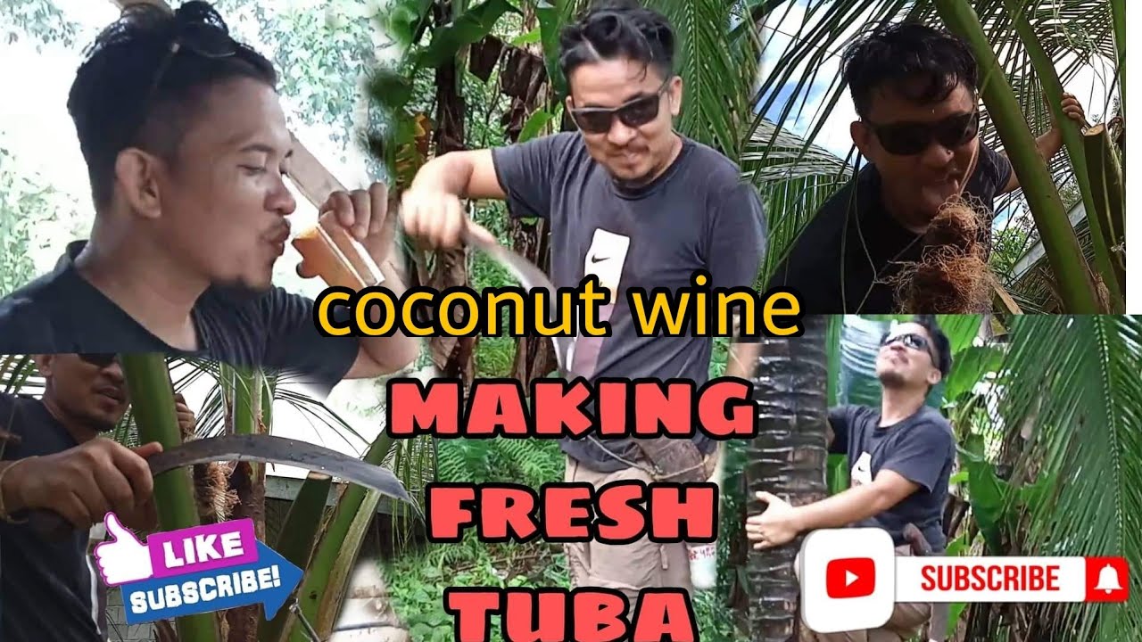 making coconut wine|Tuba|#lambanog - YouTube