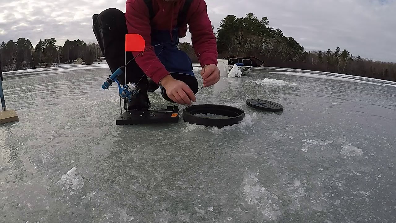 Setting up the Finicky Fooler Hooksetter - YouTube