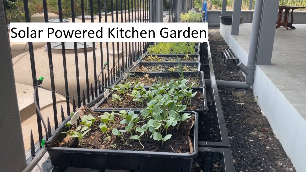 Solar Powered Kitchen Garden - YouTube