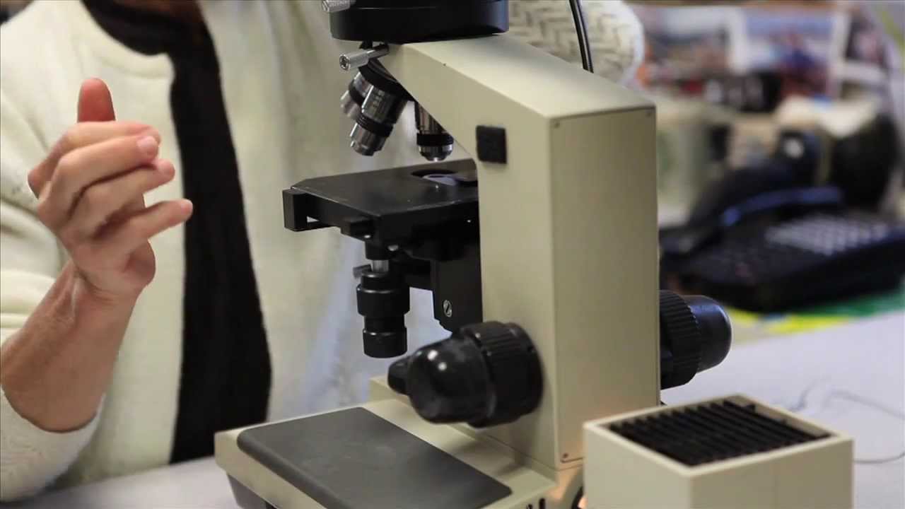 Ultrasound Usage in Pathology - YouTube