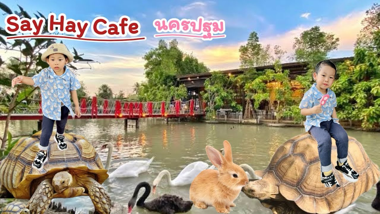 คาเฟ่นครปฐม มีสัตว์เยอะมาก Say Hay Cafe #กิจกรรมครอบครัว #พาลูกเที่ยว ...