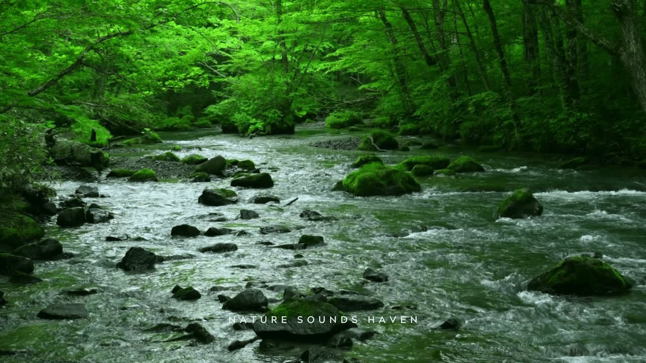 Relaxing Stream Sounds For Meditation, Relaxation, Sleep, Study ...